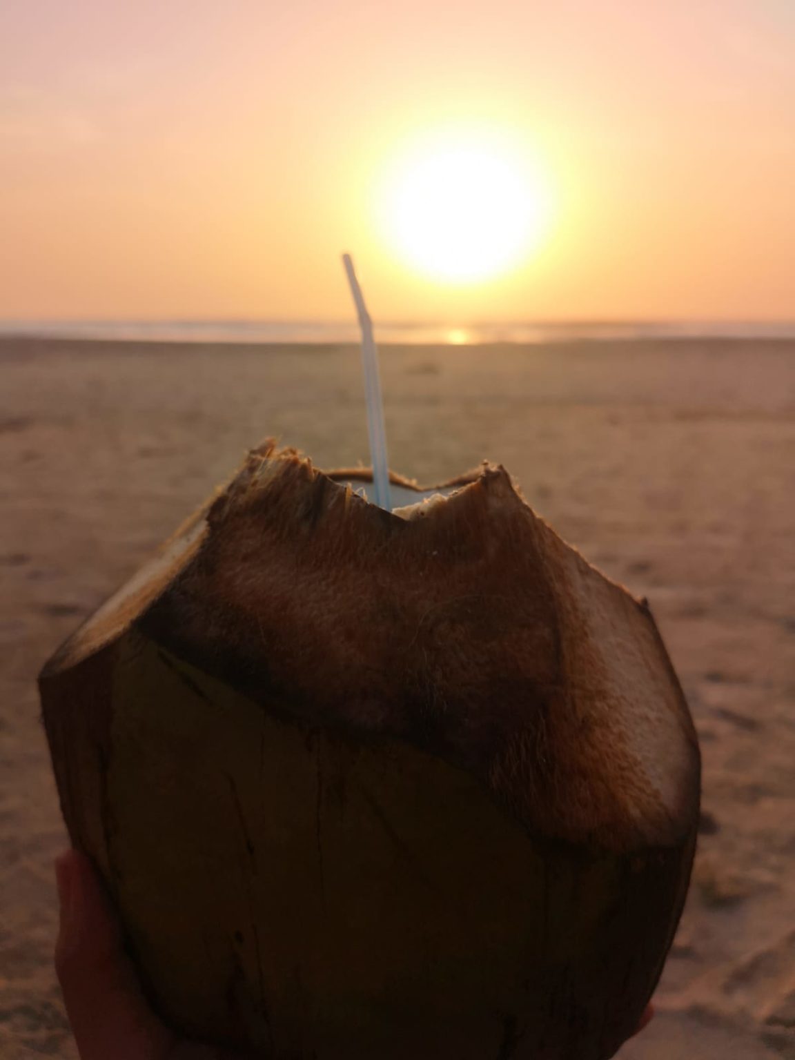 Casamance: The paradisiacal beach of Cap Skirring | Jean-Michel Voyage